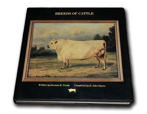 Shorthorn Breed History - Red White and Roan